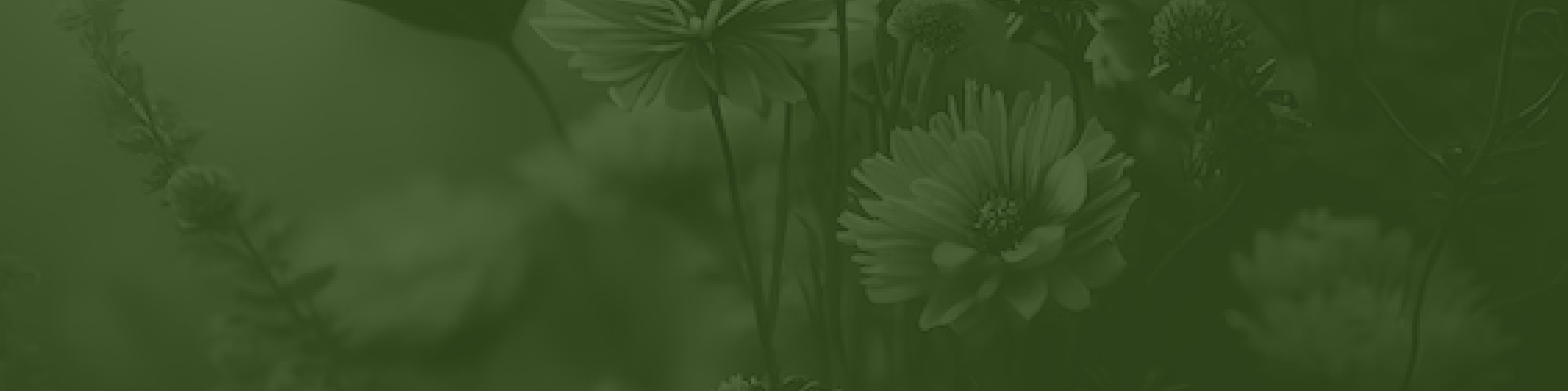 Supports - Welcome to James Falconer Undertakers, Waterford